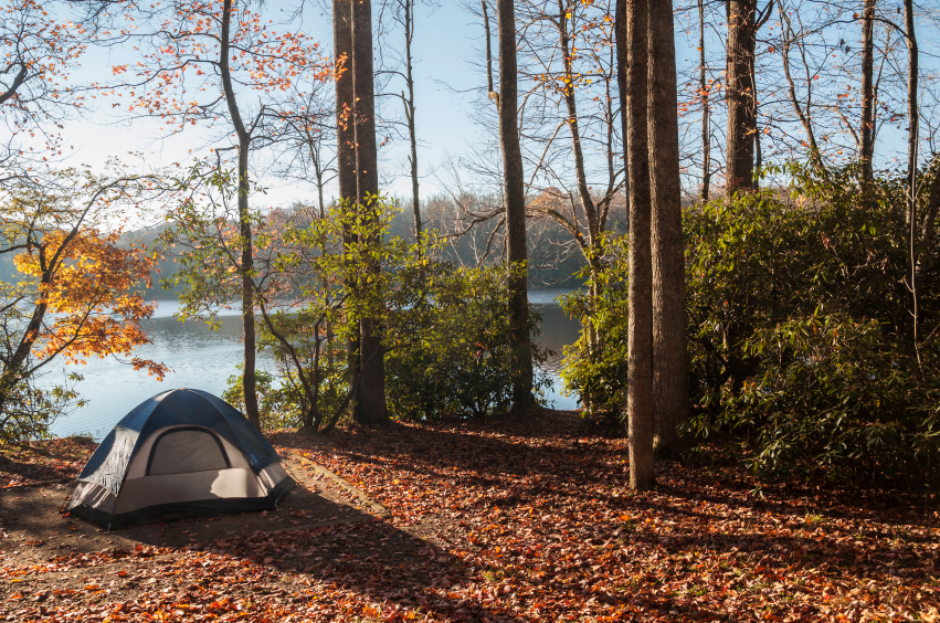 Tick and Mosquito Guide for Summer Camps - The Tick and Mosquito Project