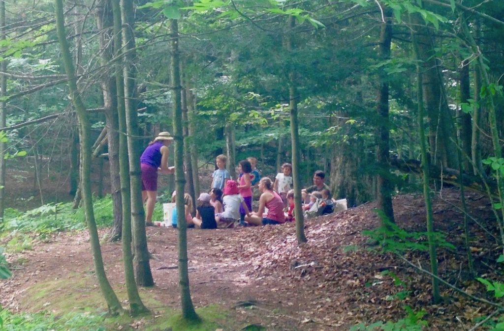 Tick and Mosquito Guide for Summer Camps - The Tick and Mosquito Project