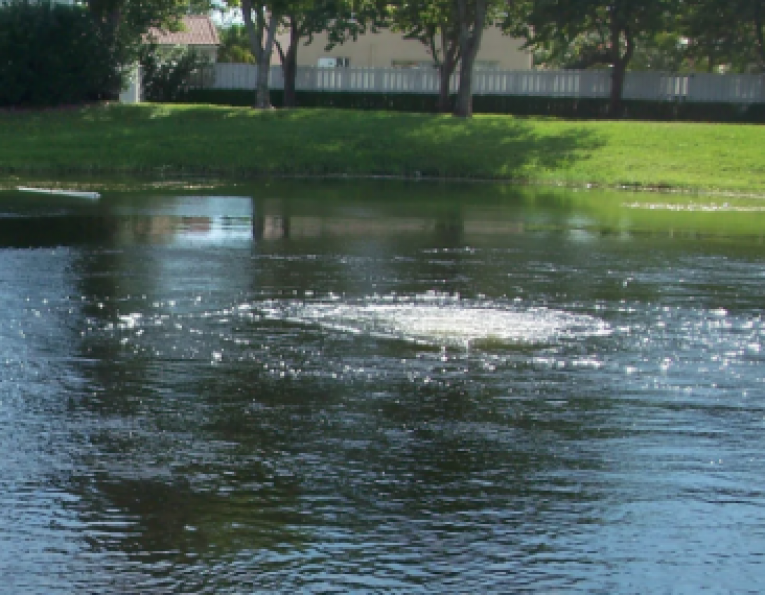 Mosquito Control in Ponds - The Tick and Mosquito Project